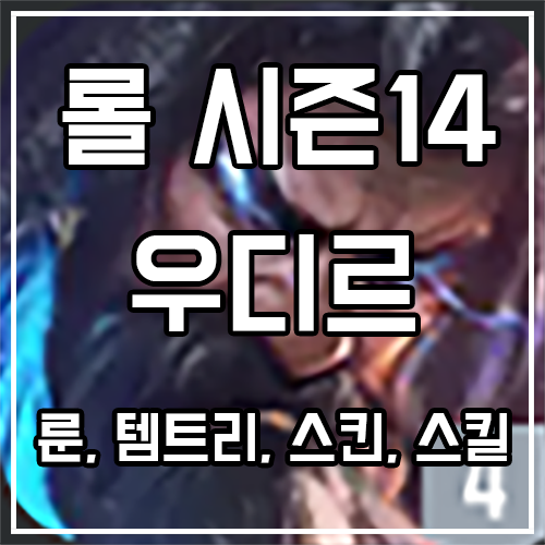 우디르 룬 스킨 템트리 공략 네이버 블로그