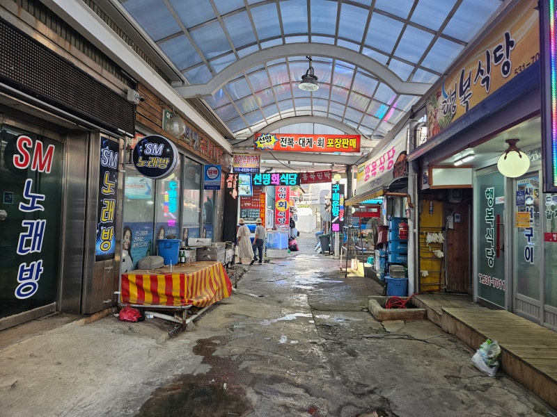동해 묵호항 수산시장 회센터 다양한 해산물과 회포장 단새우 저렴하게 네이버 블로그