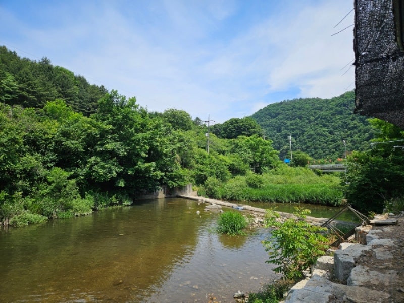 강원도계곡식당 춘천계곡식당 춘천 집다리골 지암리계곡식당 닭백숙 내돈내산후기 네이버 블로그