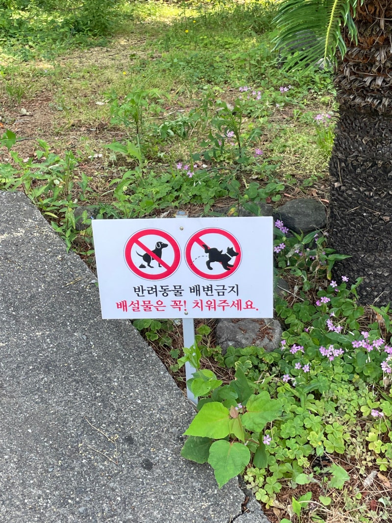 제주 가볼만한곳 약천사 사찰 여행 템플스테이 정보 네이버 블로그