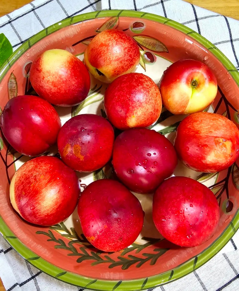 신비복숭아 맛있게 먹는법 후숙 6월제철과일 신비복숭아 칼로리 효능 네이버 블로그