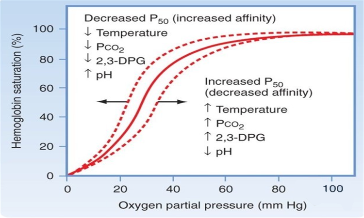 산소해리곡선 - PaO2, SaO2 [호흡 생리] : 네이버 블로그
