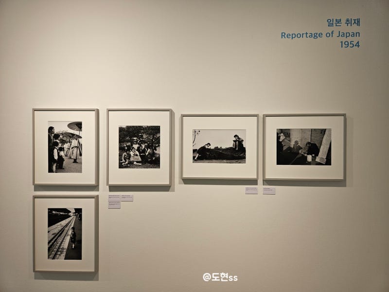 부산 사진전 전시회 추천 고은사진미술관 로버트 카파 《robert Capa Work 1932 1954》 전시 후기 네이버 블로그