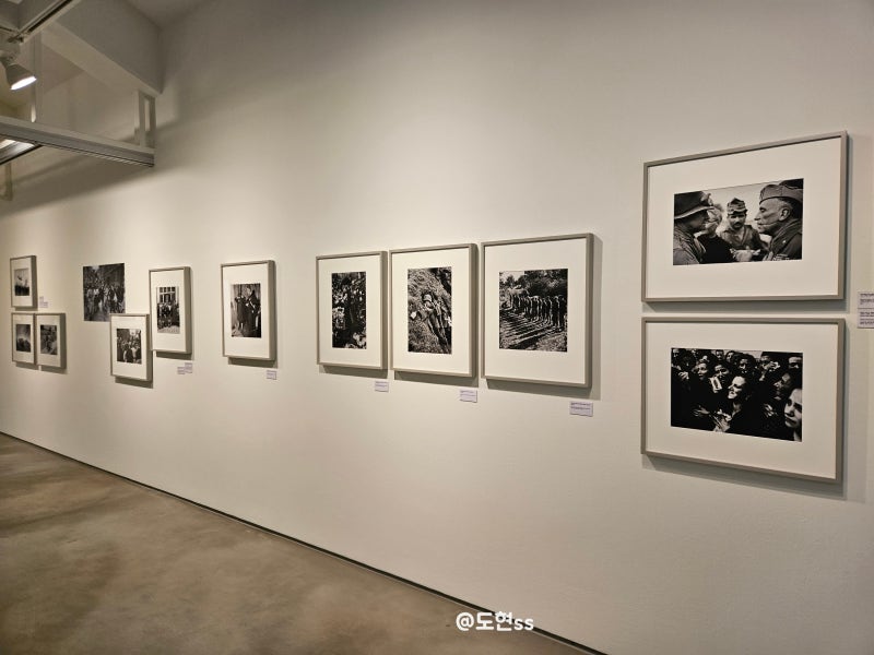 부산 사진전 전시회 추천 고은사진미술관 로버트 카파 《robert Capa Work 1932 1954》 전시 후기 네이버 블로그