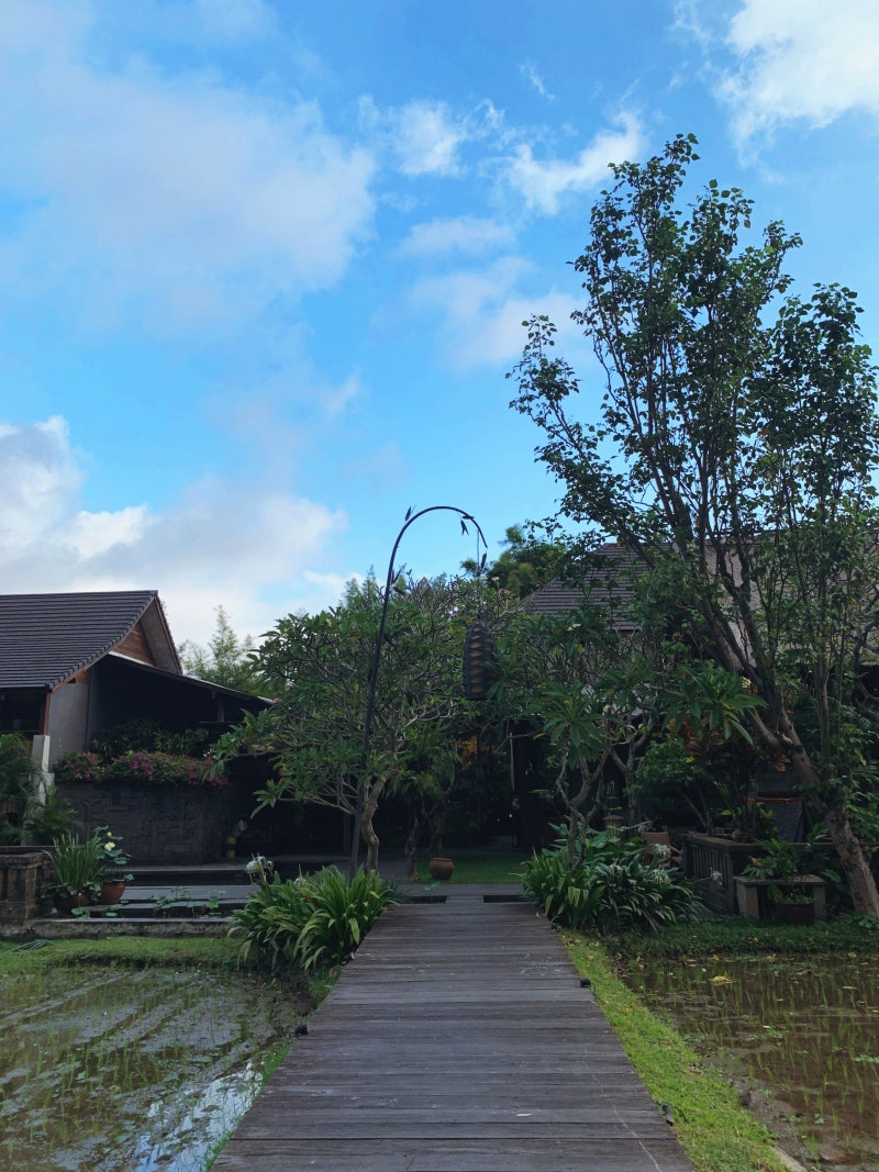 [퇴사여행 / 한달살기] 우붓 논뷰 맛집 피손 우붓 (Pison, Ubud) 솔직후기 : 네이버 블로그