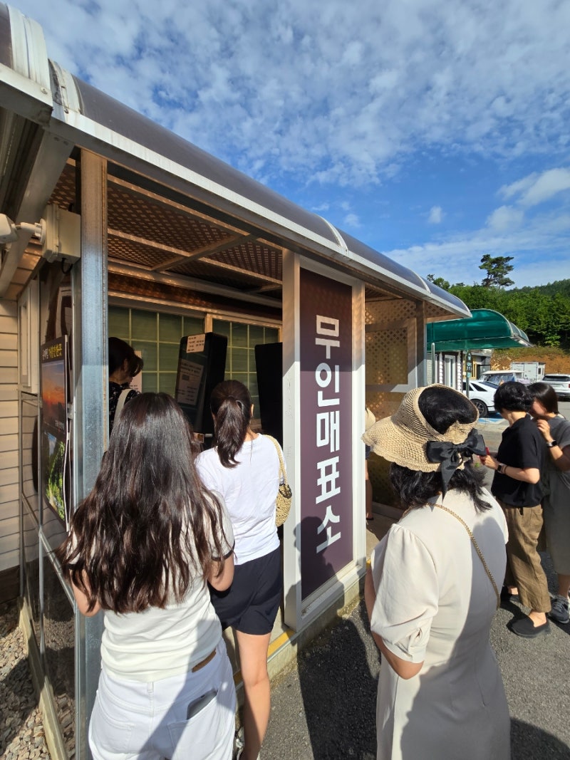 전남 보성 6월 가볼만한 곳 수국 명소 윤제림 성림정원 입장료 주차비 네이버 블로그