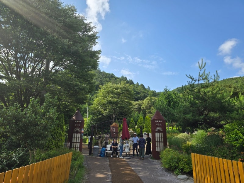 전남 보성 6월 가볼만한 곳 수국 명소 윤제림 성림정원 입장료 주차비 네이버 블로그