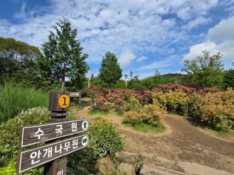 전남 보성 6월 가볼만한 곳 수국 명소 윤제림 성림정원 입장료 주차비 네이버 블로그