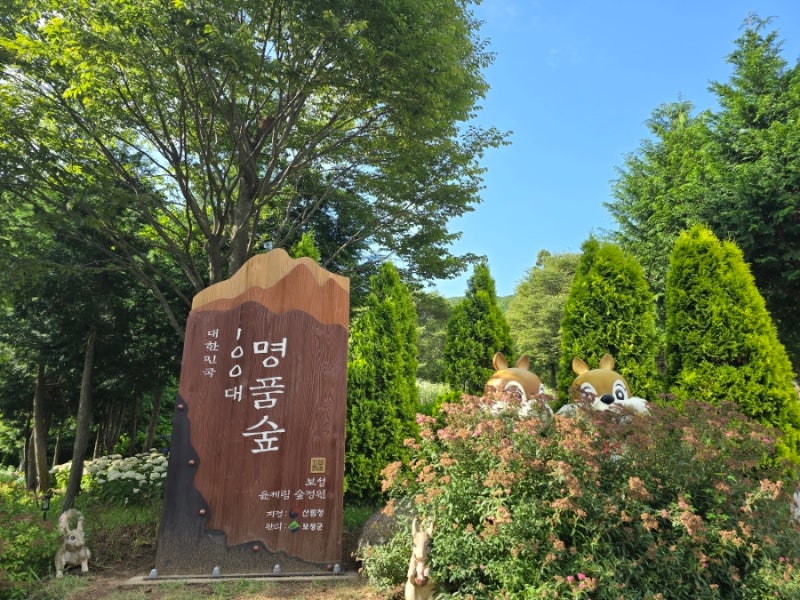 전남 보성 6월 가볼만한 곳 수국 명소 윤제림 성림정원 입장료 주차비 네이버 블로그