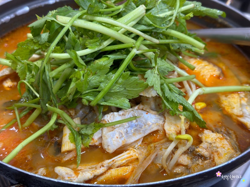 노량진수산시장 민어 시세 및 초장집 추천 서산안면도전라도회양념 네이버 블로그