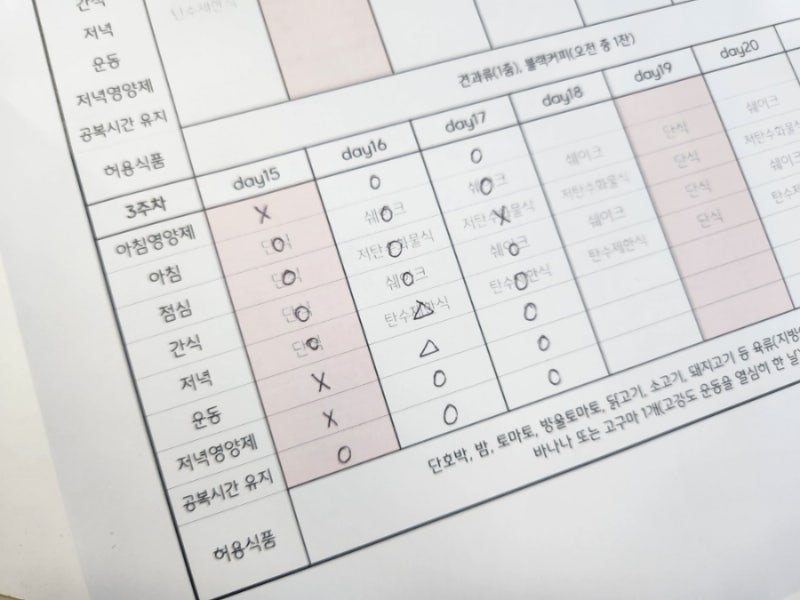 스위치온 다이어트 방법 한 눈에 정리스케줄표 공유 네이버 블로그