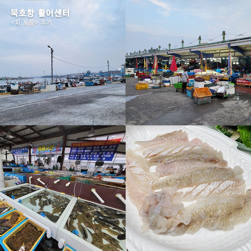 네이버 인플루언서