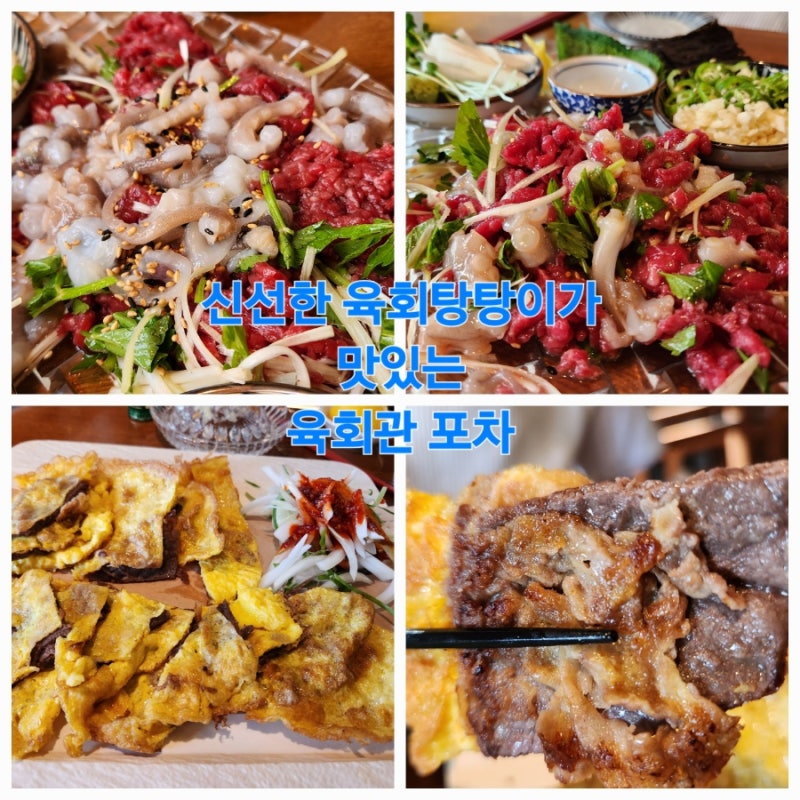 여의도 육회 맛집 당일 도축한 육회 탕탕이 맛집 육회관 포차 네이버 블로그