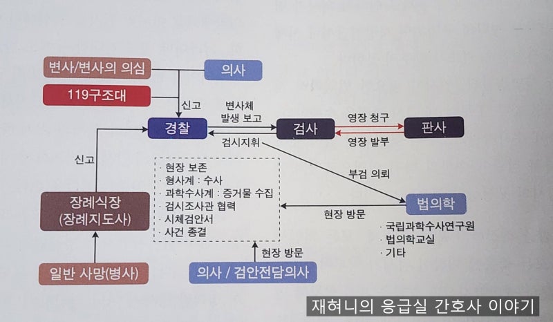 의학용어 Doa 시체검안서 사망진단서 차이 네이버 블로그