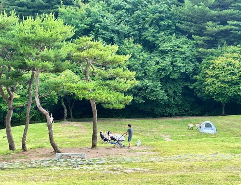 충북 청주 가볼만한곳 상당산성 주차장과 등산 및 피크닉 당일치기 여행 추천 네이버 블로그
