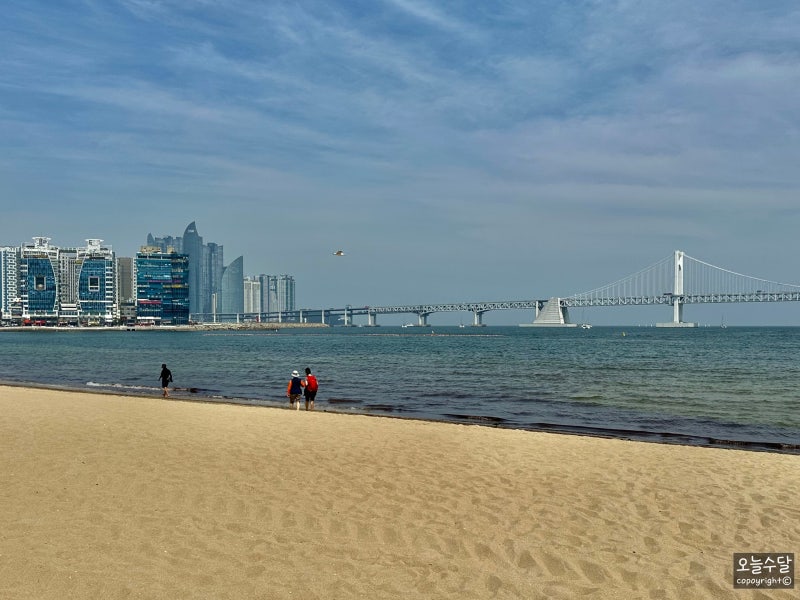 나홀로 부산 광안리 여행 가볼만한곳ㅣ볼거리 놀거리 핫플 Best5 네이버 블로그