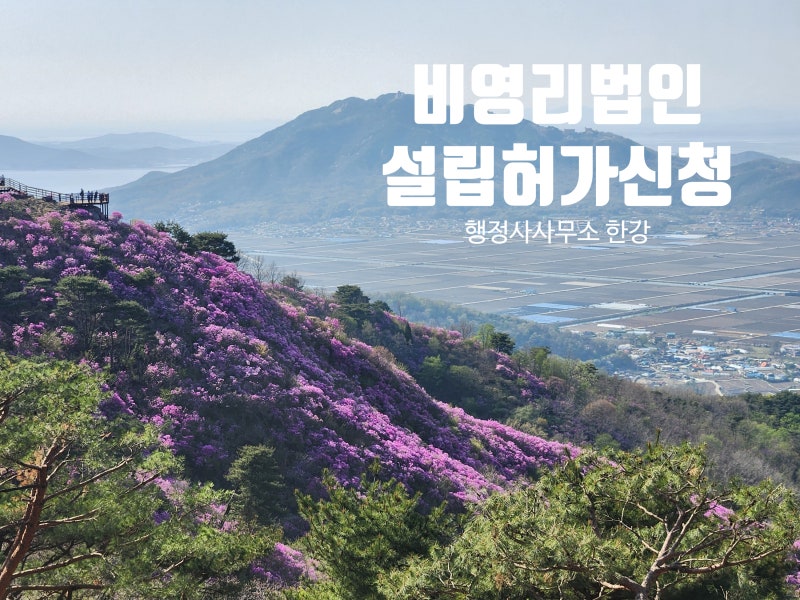 비영리사단법인 및 재단법인 설립허가 기준요건 및 절차 네이버 블로그