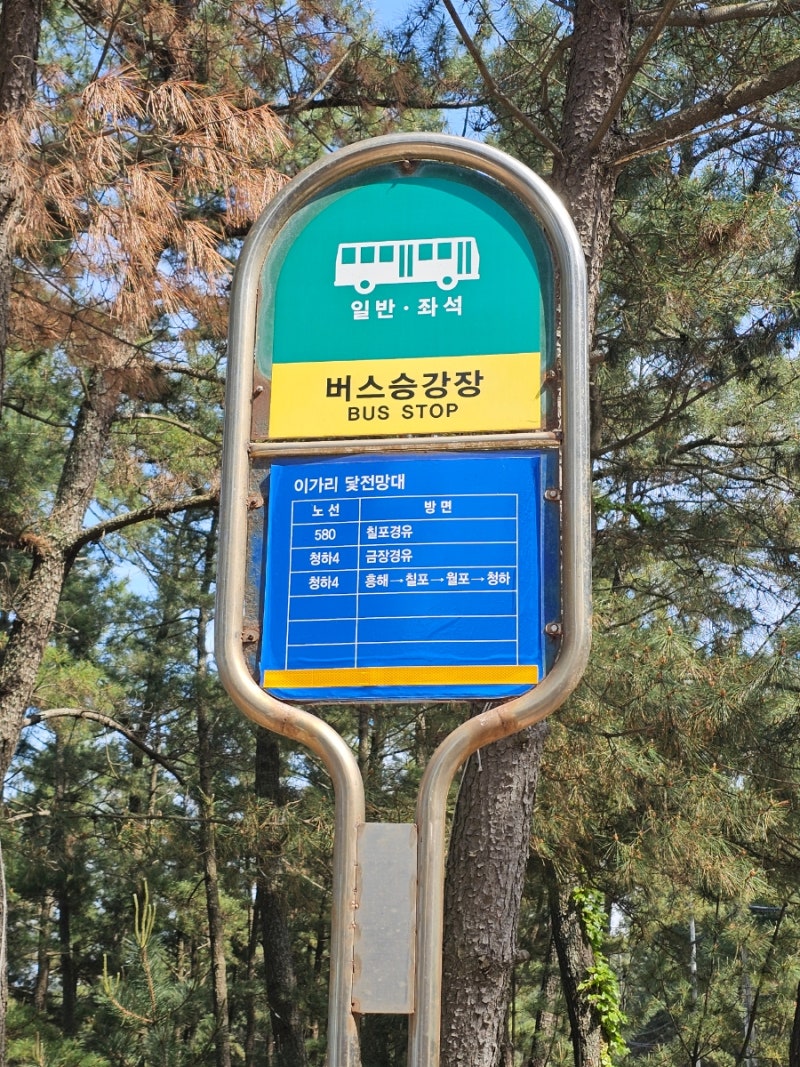 포항 근처 갈 만한 곳 포항 이가리 닻 전망대 그리고 가는 방법과 주차장 네이버 블로그