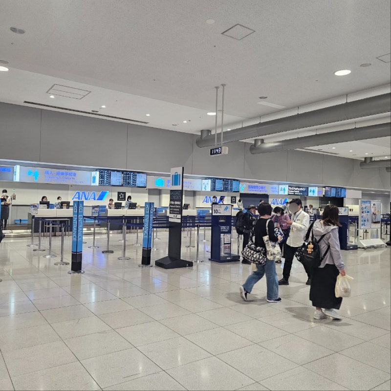 항공기 비행기 지연 결항 보상 확인 및 신청방법 환불규정 네이버 블로그