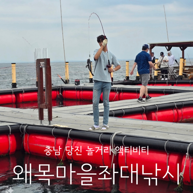 충남 당진 놀거리 액티비티 자연산 우럭 막 잡히는 왜목마을좌대낚시