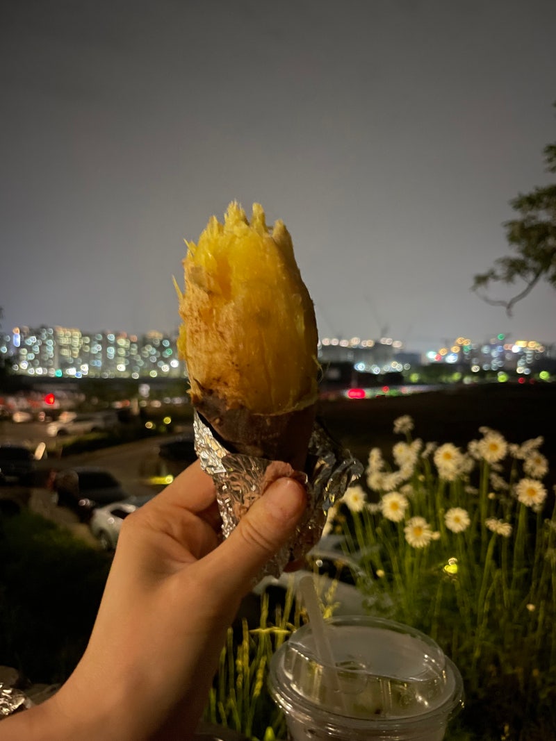 경기도 비오는날 갈만한곳 서울근교 실내데이트 추천 10 네이버 블로그