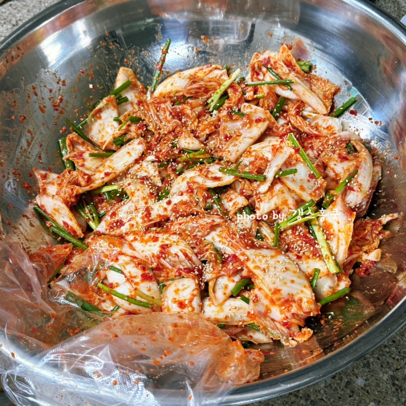 알배기 배추겉절이 만드는 법 여름 배추김치 담그는법 네이버 블로그