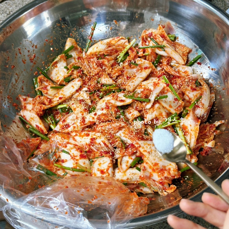 알배기 배추겉절이 만드는 법 여름 배추김치 담그는법 네이버 블로그