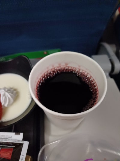 터키 항공의 모든 것로고 규모 기령 수하물 서비스 장단점 노선 어매니티 기내식 네이버 블로그