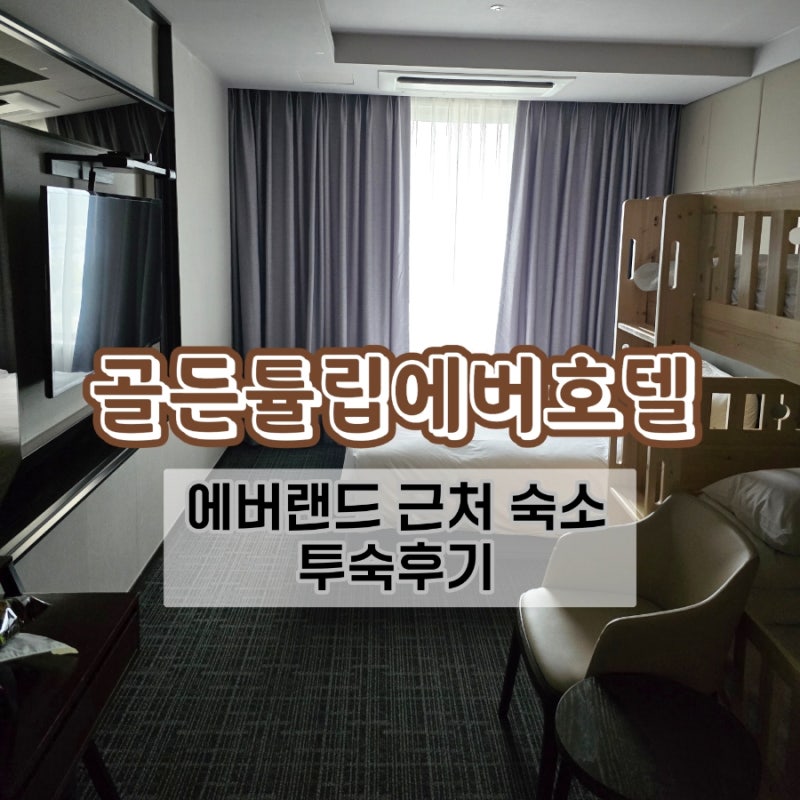 용인 골든튤립에버호텔 투숙후기 디럭스 쿼드러플 4인 가족 가능 네이버 블로그