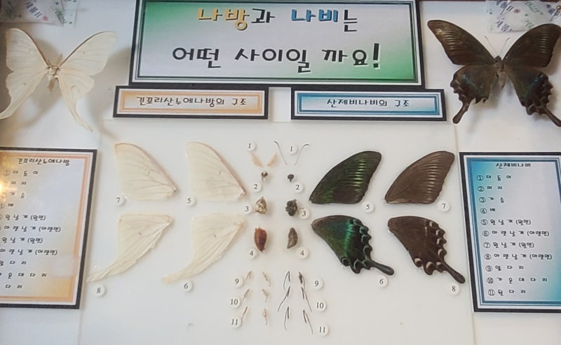 양평 들꽃수목원 교통편 입장료 운영시간 시설 체험클래스 양평 가볼만한 곳 서울근교 수목원 네이버 블로그