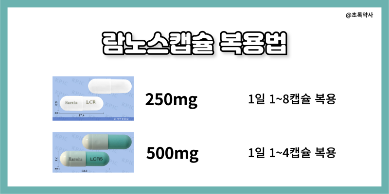 람노스캡슐 250 500 Mg 유산균 정장제 효능 복용법 주의사항 설사 변비과민성대장증후군 네이버 블로그