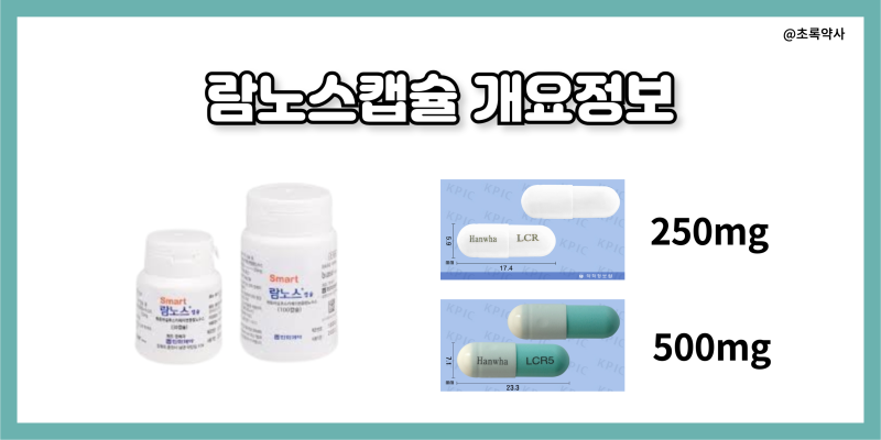 람노스캡슐 250 500 Mg 유산균 정장제 효능 복용법 주의사항 설사 변비과민성대장증후군 네이버 블로그