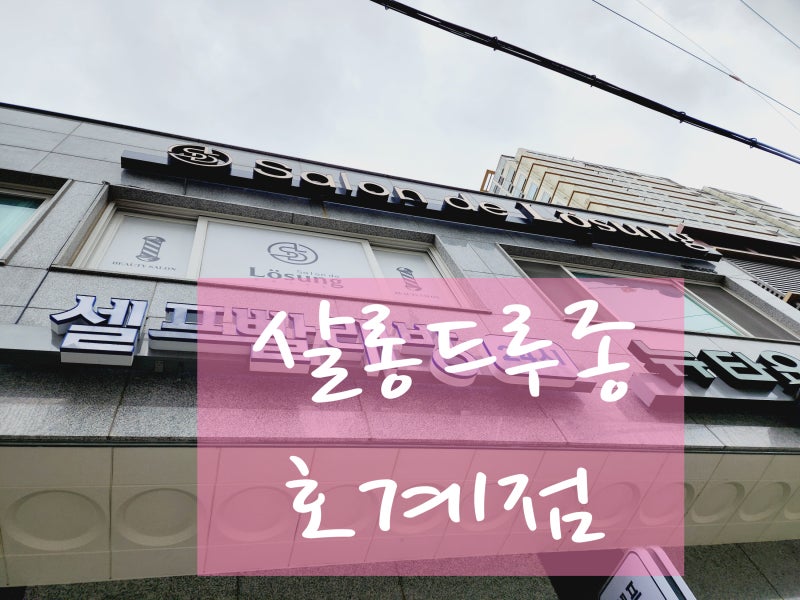 안양 호계동미용실 살롱드루종 탈색 없이 새치염색 네이버 블로그