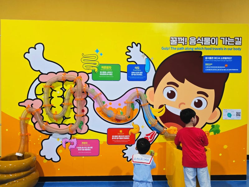 국립대구과학관 꿈나무과학관 예약 대구 아이랑 갈만한곳 네이버 블로그