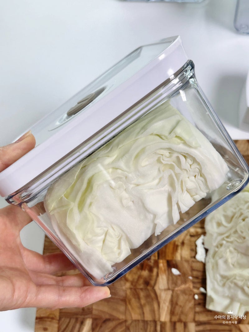 로이첸 진공 밀폐용기 세트 추천 전자레인지 사용 가능한 냉장고정리 용기 아이바큠 네이버 블로그