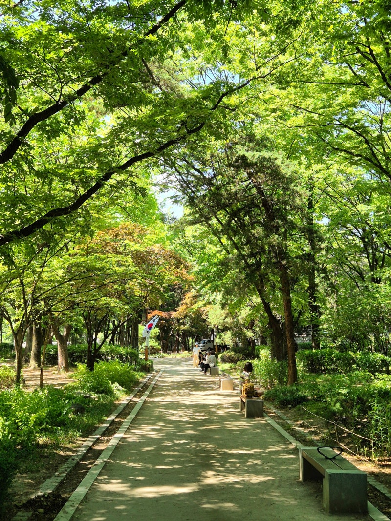 도산공원 안창호 기념관 산책 광복절 가볼만한곳 네이버 블로그