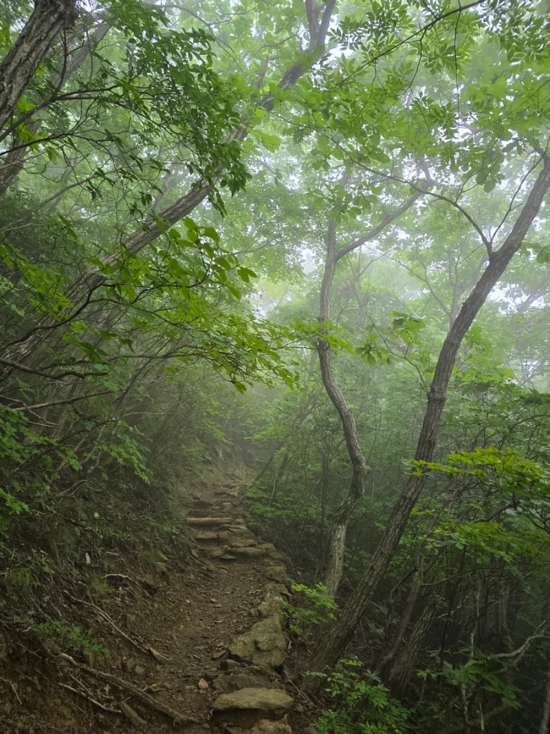 초보등산 시원하게 다녀온 곰탕뷰 황악산 최단코스 등산코스 운수암부터 네이버 블로그
