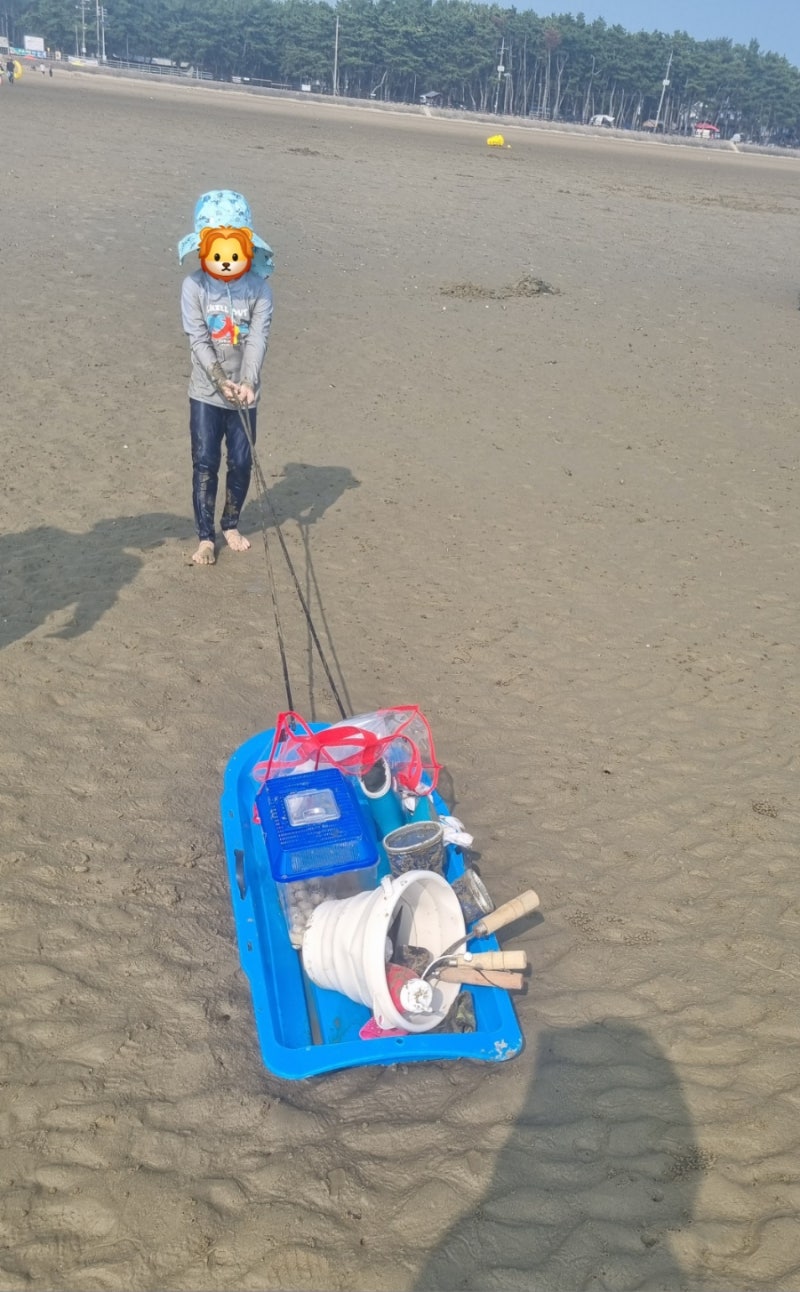 태안 몽산포해수욕장 갯벌체험 Ft물때표 보는 법 준비물 꿀팁 네이버 블로그