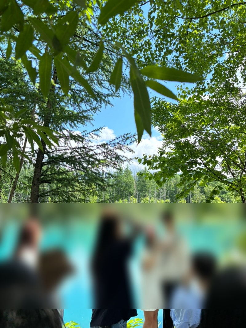 일본 삿포로 자유여행 여름 비에이 버스투어 인디고트래블 후기 네이버 블로그