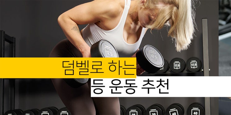 헬스장 원암 벤트오버 덤벨로우 남자 여자 아령 등운동 기구 종류 루틴