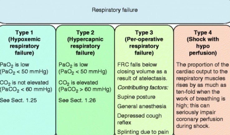 [응급실 간호] Acute respiratory failure - 급성호흡부전의 종류 초간단 정리 및 Case study ...