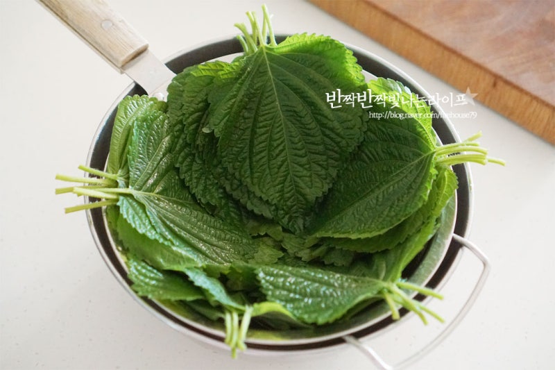 백종원 깻잎 양념장 만들기 깻잎김치 만드는 법 네이버 블로그