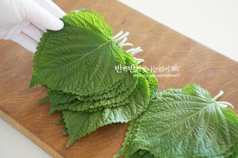 백종원 깻잎 양념장 만들기 깻잎김치 만드는 법 네이버 블로그