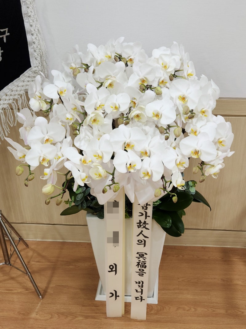 장례식장 꽃 종류 근조화환 근조바구니 근조스탠드 서양란 49재 추모 꽃바구니 영정바구니 양재꽃시장 화환 예림화원