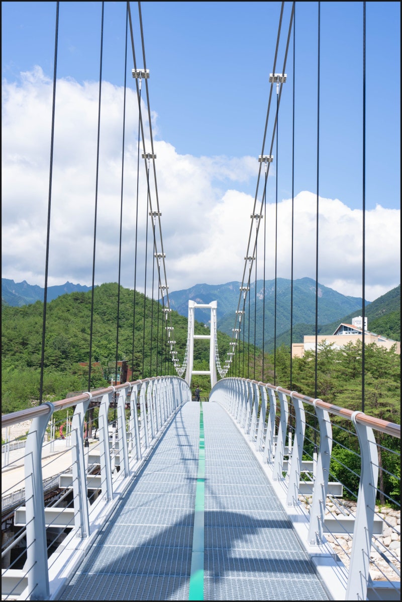 설악향기로 속초 설악산 설악동 스카이워크 출렁다리 개통 주차장 야간 조명 경관 무료 네이버 블로그