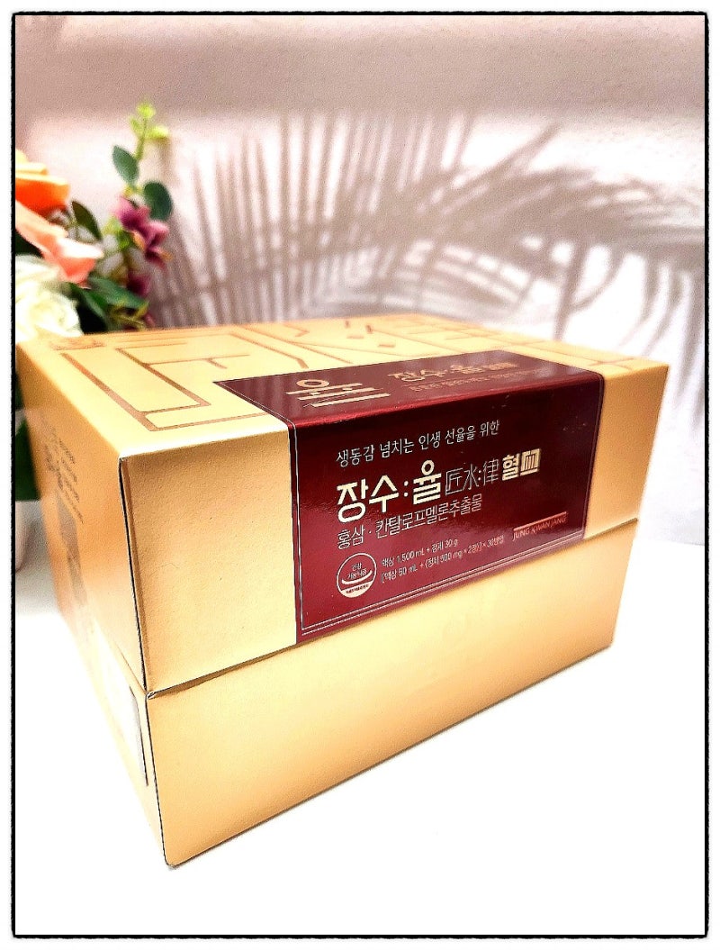 혈소판 응집억제를 통한 혈액흐름 개선에 도움을 줄 수 있는 건강기능식품 정관장 부모님 생신선물로 추천 네이버 블로그