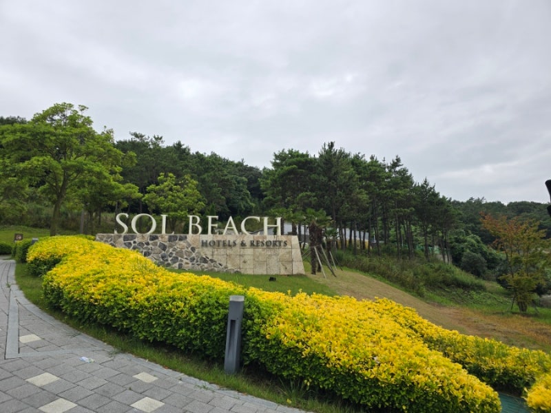 쏠비치 진도 스위트 스탠다드 클린 객실 And 웰컴센터 정보 네이버 블로그