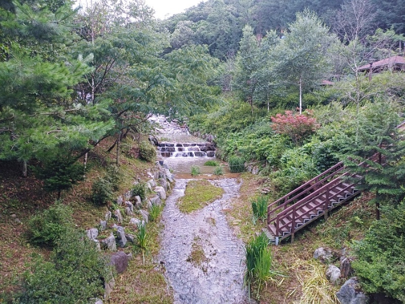 충북 생거진천자연휴양림 4편 숲속 야영장공립 캠핑장 네이버 블로그