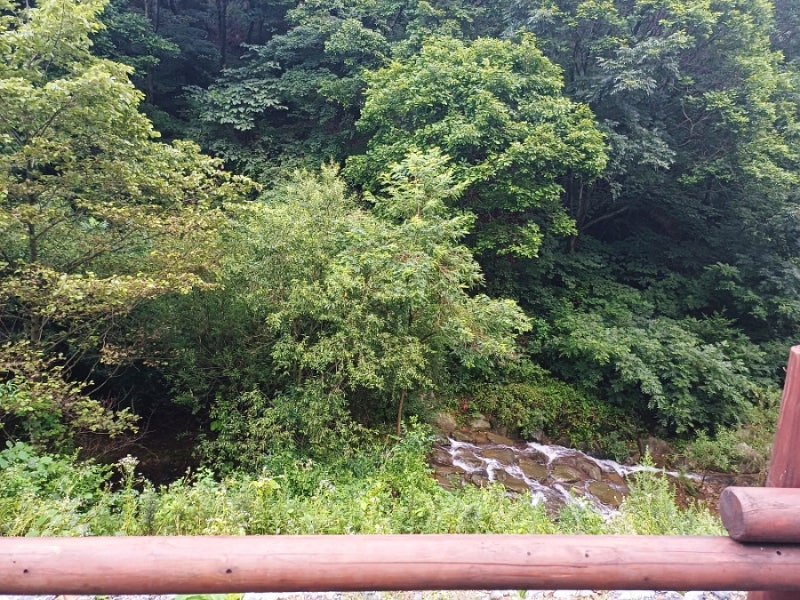 충북 생거진천자연휴양림 4편 숲속 야영장공립 캠핑장 네이버 블로그