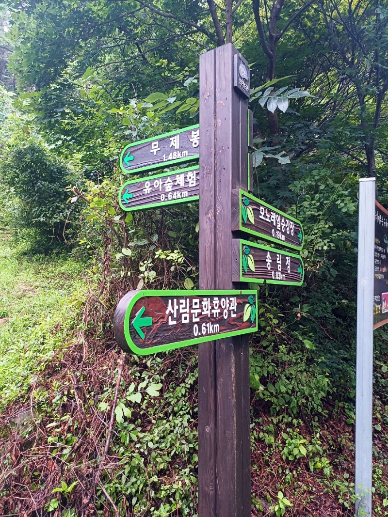 충북 생거진천자연휴양림 5편 산책로와 등산로무제봉송림정 네이버 블로그
